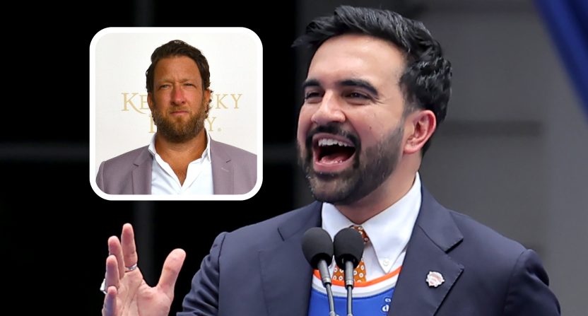 'Hogging the spotlight': Dave Portnoy does not hold back on ...